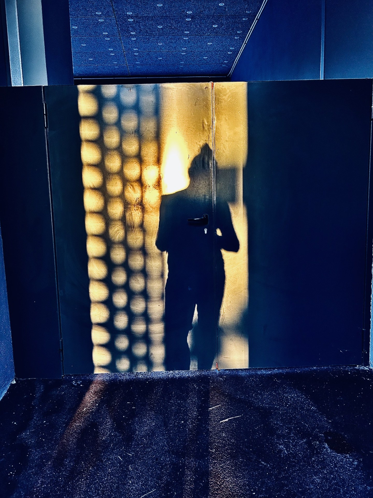 « Forêt Rouge » réalisé par Laurie Lassalle : Critique – Kino Wombat